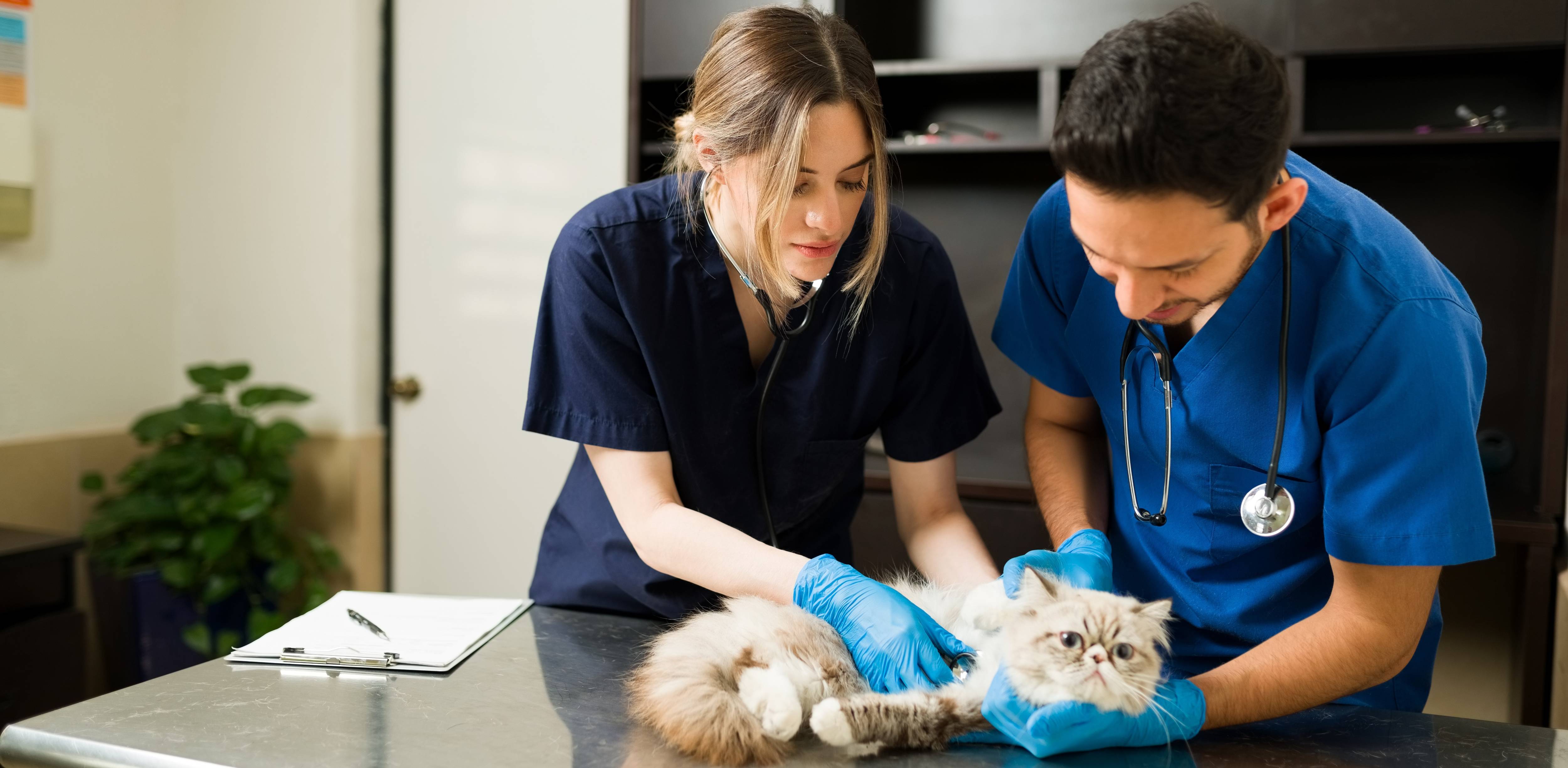 Navatio Pharma - Veterinary Pharmacovigilance